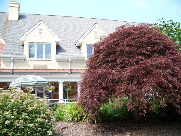 Bartholomew House - Pricing, Photos and Floor Plans in Bethesda, MD ...