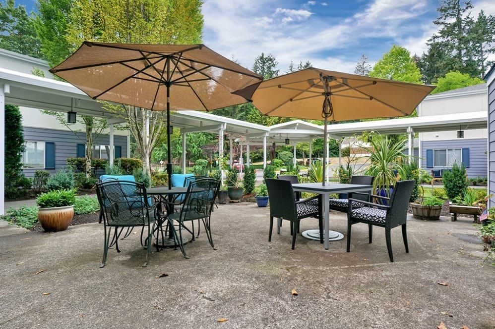 Mountlake Terrace Plaza - Pricing, Photos and Floor Plans in Mountlake ...